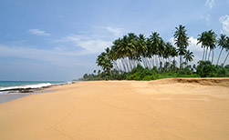 Sri Lanka Hotels | Die besten Unterkünfte für Ihre Reise